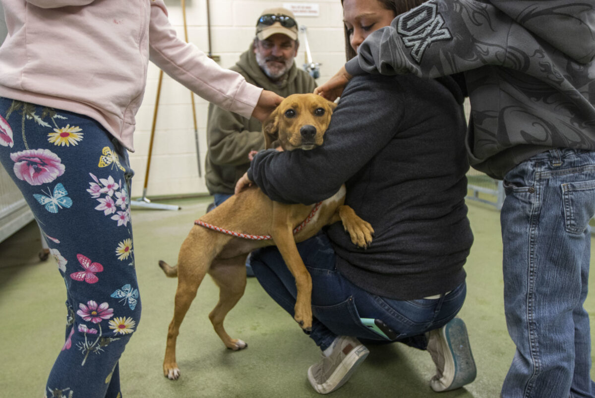 Empty the Shelters program offers adoptive animals a chance to go home ...